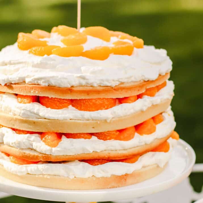 Homemade Orange Layer Cake Recipe - Celebrations at Home